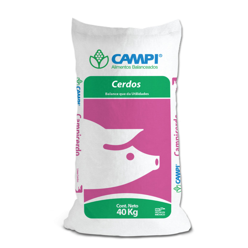 Inicio - Campi